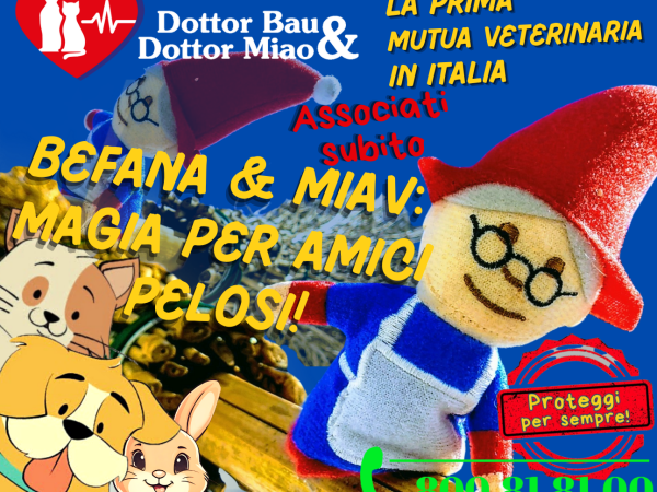 Befana & MIAV: Magia per Amici Pelosi! - News | MIAV