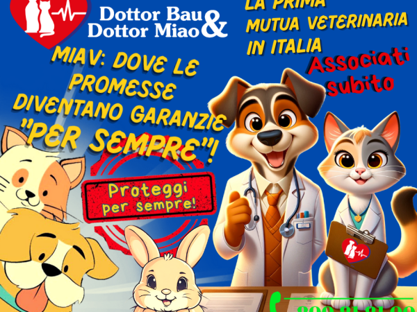 💚MIAV: Dove le Promesse Diventano Garanzie "Per Sempre"! 🐾 - News | MIAV